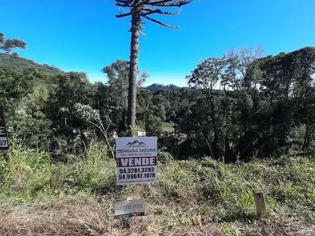 Terreno / Lote para Venda em Nova Petrópolis/RS Linha Imperial