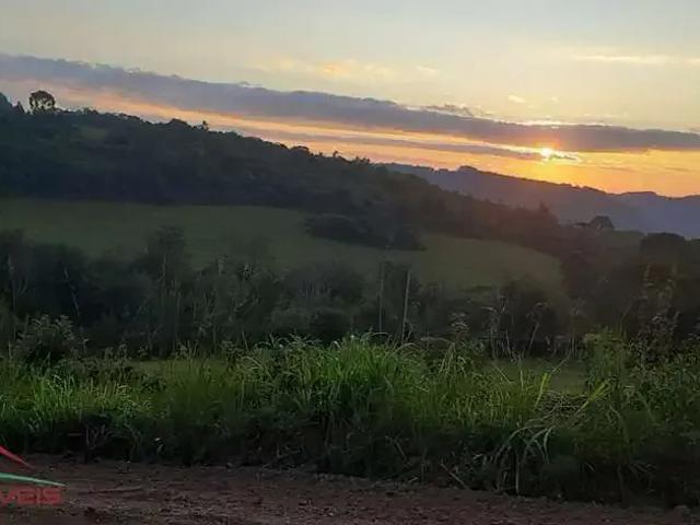 Terreno / Lote para Venda em Nova Petrópolis/RS Linha Imperial