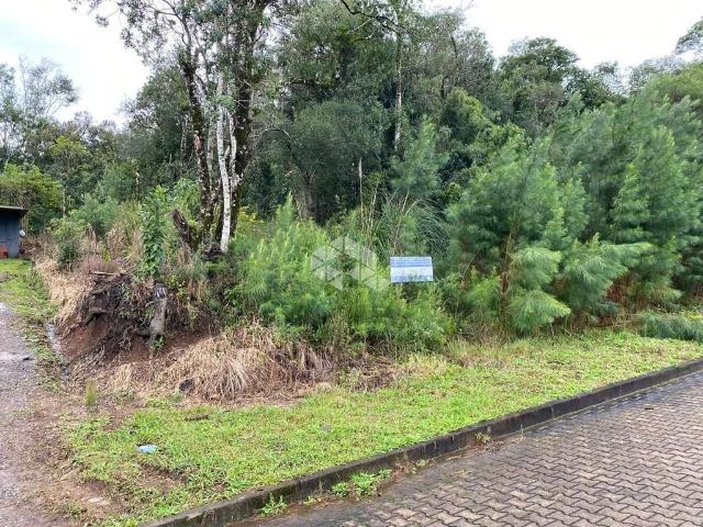 Terreno / Lote para Venda em Nova Petrópolis/RS Linha Imperial