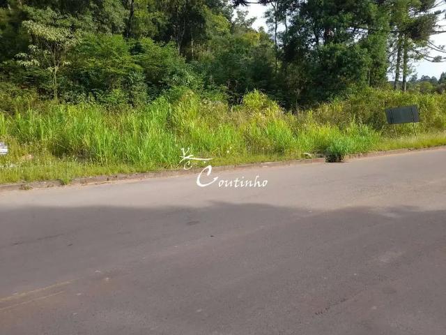 Terreno / Lote para Venda em Nova Petrópolis/RS Linha Imperial