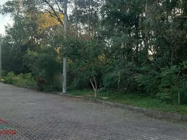 Terreno / Lote para Venda em Nova Petrópolis/RS Linha Imperial