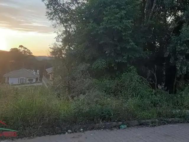Terreno / Lote para Venda em Nova Petrópolis/RS Linha Imperial