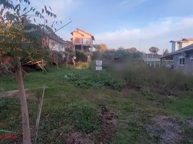 Terreno / Lote para Venda em Nova Petrópolis/RS Linha Imperial