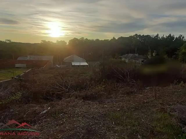 Terreno / Lote para Venda em Nova Petrópolis/RS Linha Imperial