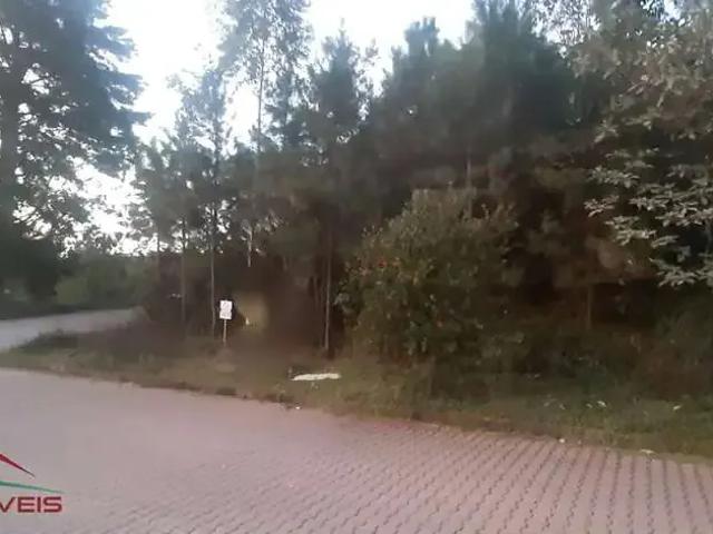 Terreno / Lote para Venda em Nova Petrópolis/RS Linha Imperial