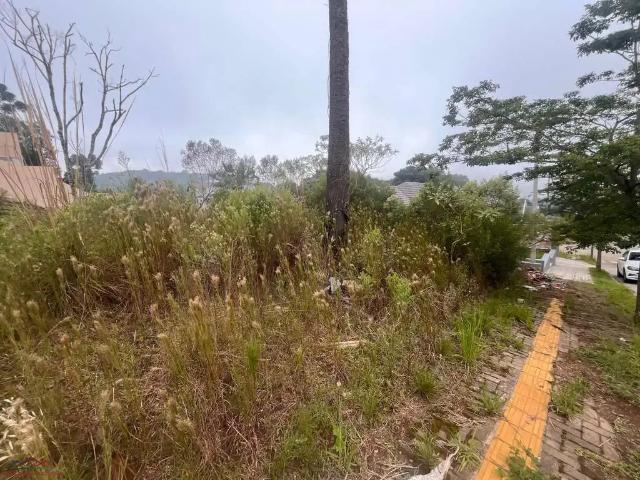 Terreno / Lote para Venda em Nova Petrópolis/RS Linha Imperial