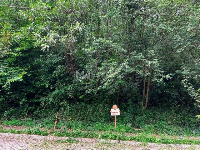 Terreno / Lote para Venda em Nova Petrópolis/RS Linha Imperial