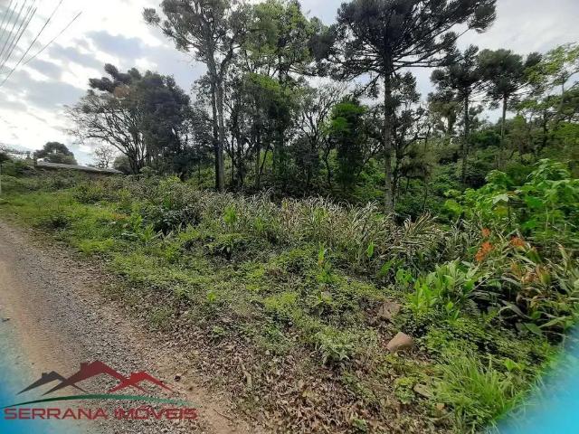 Terreno / Lote para Venda em Nova Petrópolis/RS Linha Olinda