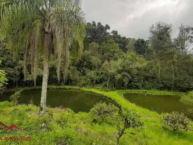 Terreno / Lote para Venda em Nova Petrópolis/RS Linha Pirajá Baixa