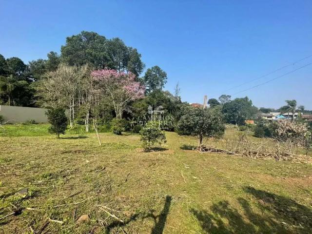 Terreno / Lote para Venda em Nova Petrópolis/RS Logradouro