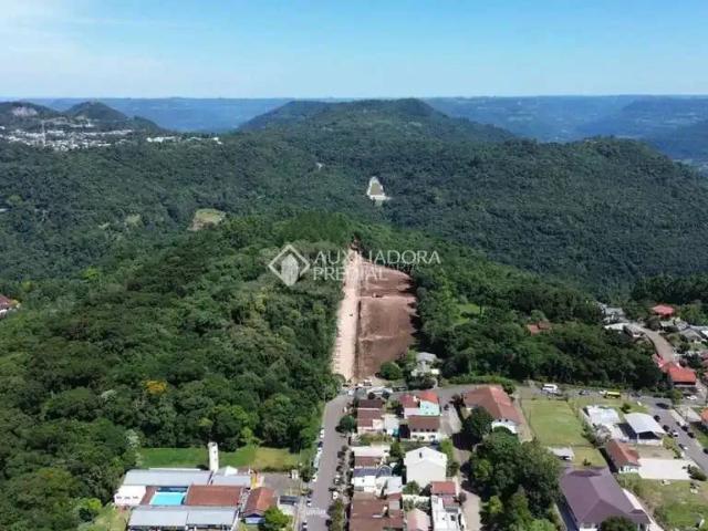 Terreno / Lote para Venda em Nova Petrópolis/RS Logradouro