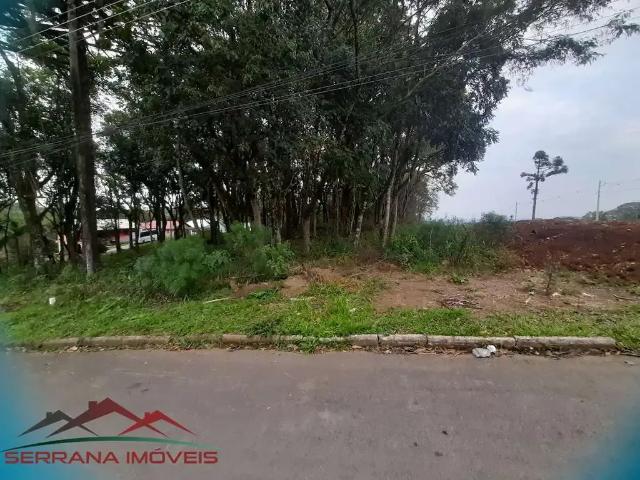 Terreno / Lote para Venda em Nova Petrópolis/RS Logradouro