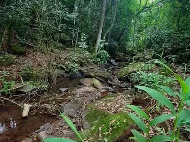 Terreno / Lote para Venda em Nova Petrópolis/RS Nove Colônias