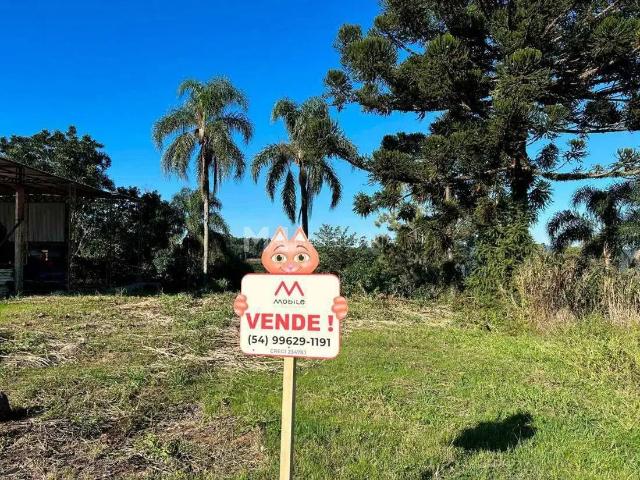 Terreno / Lote para Venda em Nova Petrópolis/RS Pinhal Alto