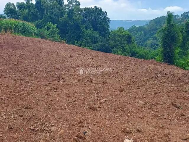Terreno / Lote para Venda em Nova Petrópolis/RS Pinhal Alto