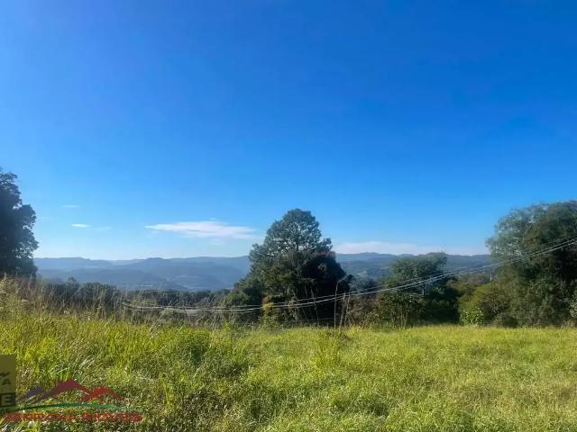 Terreno / Lote para Venda em Nova Petrópolis/RS Pinhal Alto