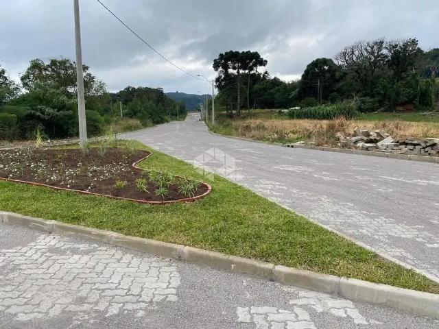Terreno / Lote para Venda em Nova Petrópolis/RS Pinhal Alto