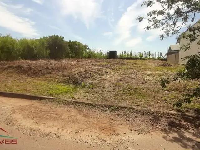 Terreno / Lote para Venda em Nova Petrópolis/RS Pinhal Alto