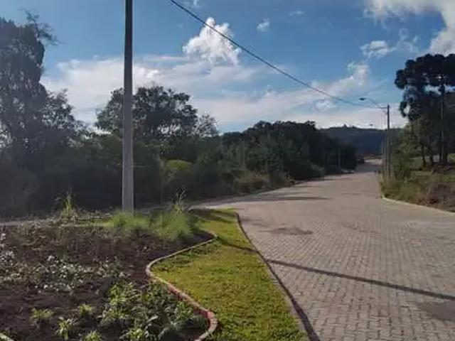 Terreno / Lote para Venda em Nova Petrópolis/RS Pinhal Alto