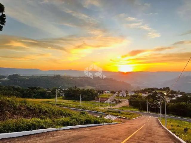 Terreno / Lote para Venda em Nova Petrópolis/RS Pinhal Alto