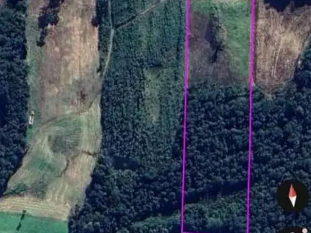 Terreno / Lote para Venda em Nova Petrópolis/RS Pinhal Alto