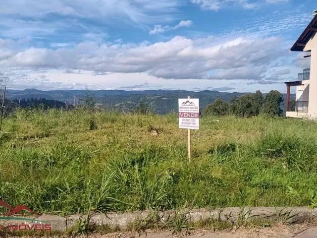 Terreno / Lote para Venda em Nova Petrópolis/RS Pinhal Alto