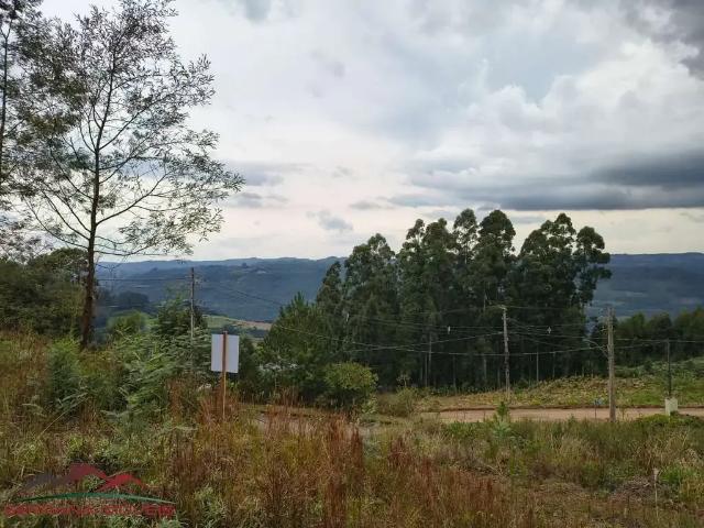 Terreno / Lote para Venda em Nova Petrópolis/RS Pinhal Alto