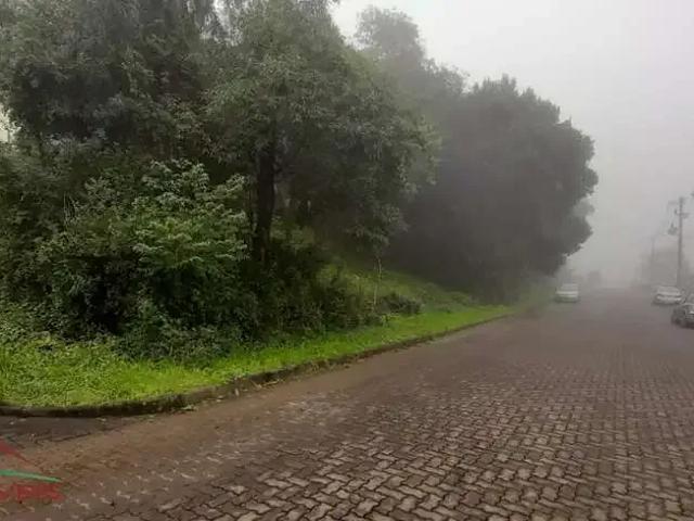 Terreno / Lote para Venda em Nova Petrópolis/RS Piá