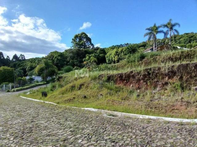 Terreno / Lote para Venda em Nova Petrópolis/RS Piá