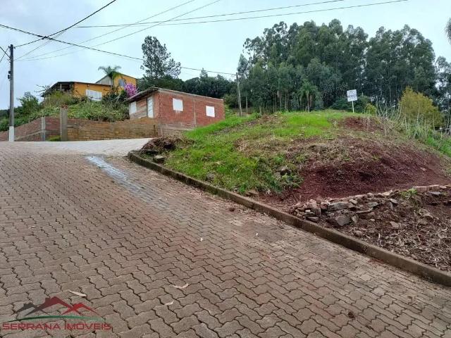 Terreno / Lote para Venda em Nova Petrópolis/RS Piá