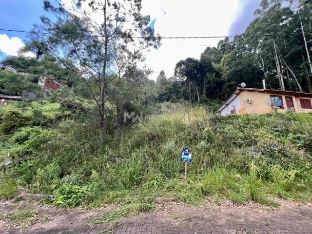 Terreno / Lote para Venda em Nova Petrópolis/RS Piá