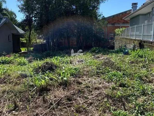 Terreno / Lote para Venda em Nova Petrópolis/RS Pousada da Neve