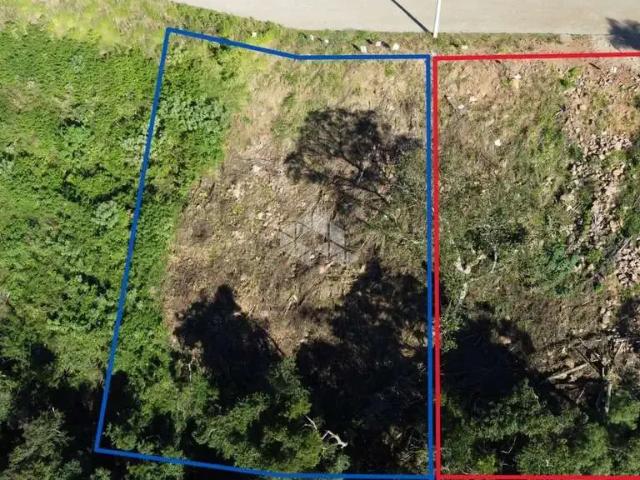 Terreno / Lote para Venda em Nova Petrópolis/RS Pousada da Neve