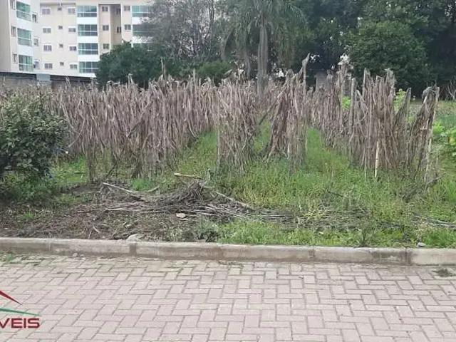 Terreno / Lote para Venda em Nova Petrópolis/RS Pousada da Neve