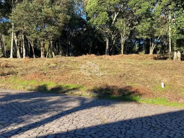 Terreno / Lote para Venda em Nova Petrópolis/RS Pousada da Neve