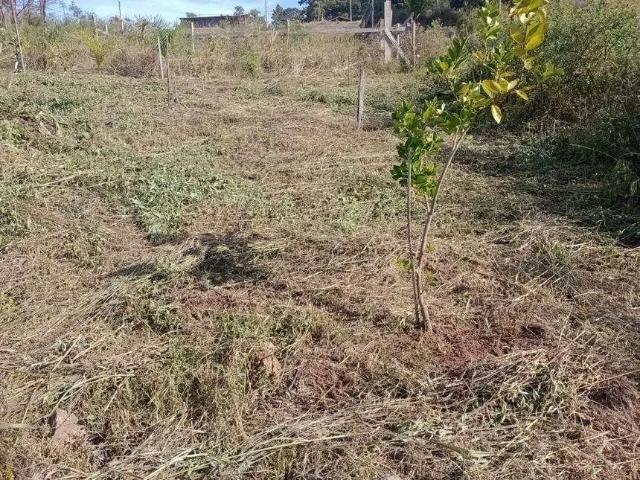 Terreno / Lote para Venda em Nova Petrópolis/RS Pousada da Neve