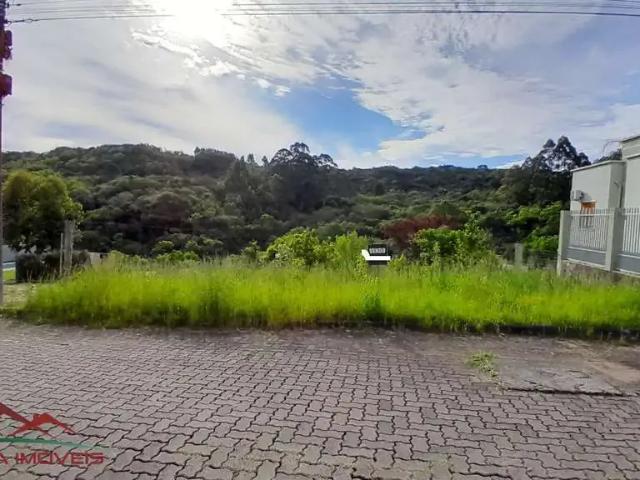 Terreno / Lote para Venda em Nova Petrópolis/RS Recanto dos Plátanos
