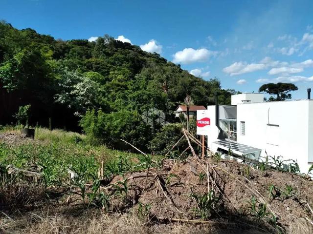 Terreno / Lote para Venda em Nova Petrópolis/RS Recanto dos Plátanos