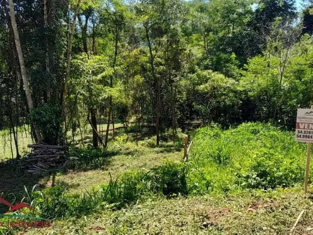 Terreno / Lote para Venda em Nova Petrópolis/RS São Jacó