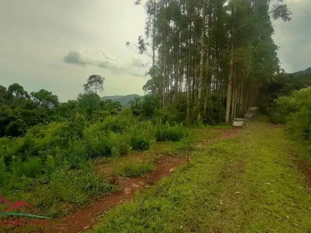 Terreno / Lote para Venda em Nova Petrópolis/RS São Jacó