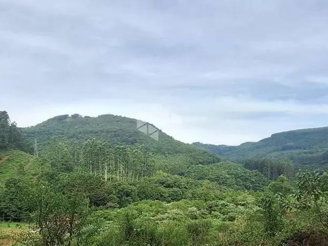 Terreno / Lote para Venda em Nova Petrópolis/RS São Jacó
