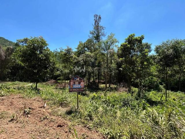 Terreno / Lote para Venda em Nova Petrópolis/RS São Jacó