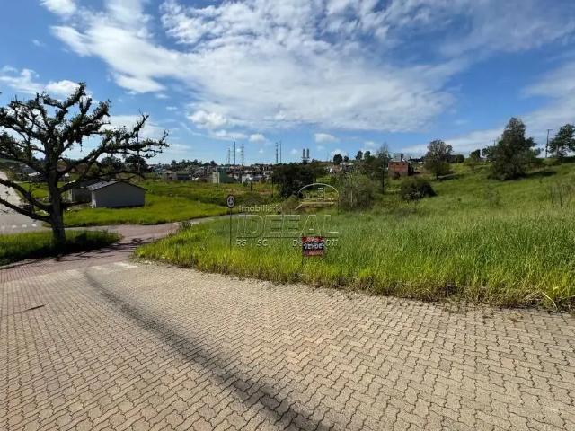 Terreno / Lote para Venda em Nova Santa Rita/RS Berto Círio