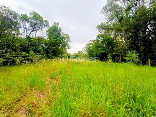 Terreno / Lote para Venda em Nova Santa Rita/RS Berto Círio
