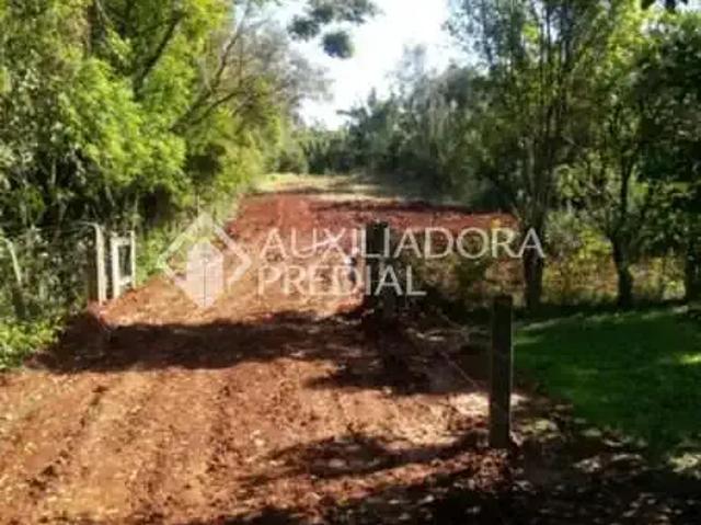 Terreno / Lote para Venda em Nova Santa Rita/RS Berto Círio