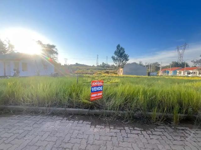 Terreno / Lote para Venda em Nova Santa Rita/RS Berto Círio