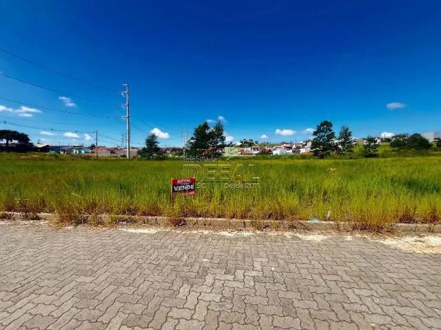 Terreno / Lote para Venda em Nova Santa Rita/RS Berto Círio