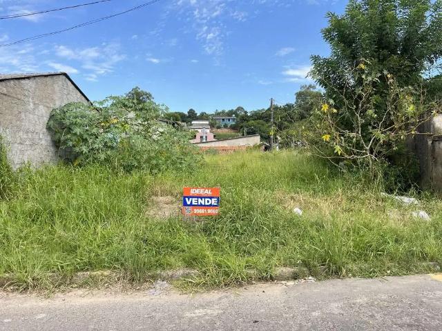 Terreno / Lote para Venda em Nova Santa Rita/RS Berto Círio