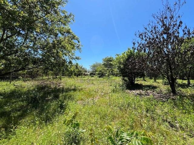 Terreno / Lote para Venda em Nova Santa Rita/RS Caju