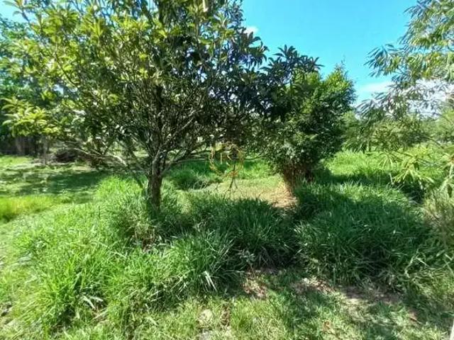 Terreno / Lote para Venda em Nova Santa Rita/RS Caju